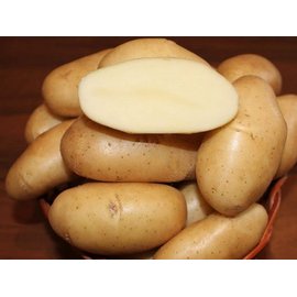 Картофель семенной 2кг Гулливер раннеспелый 436772 купить с доставкой в ...