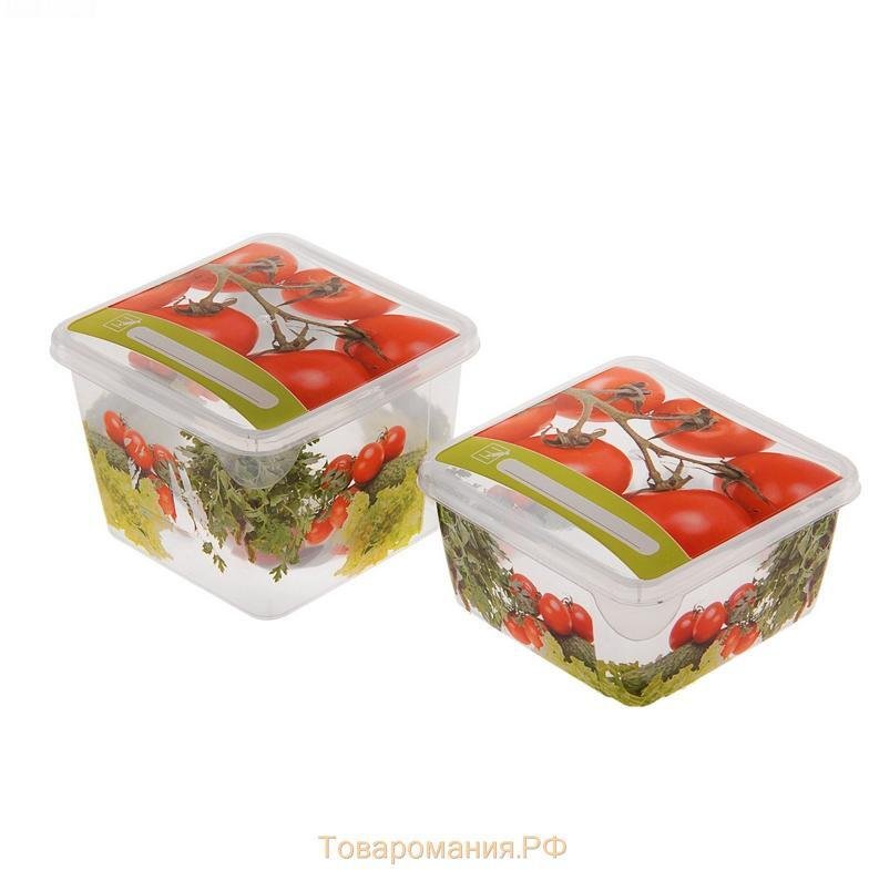 Комплект емкостей д/продуктов Браво 0,45+0,75 GR1071 290955 купить с ...
