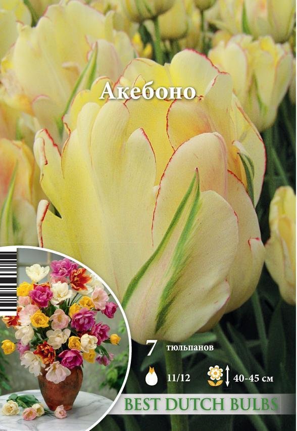 Луковица Тюльпан Акебоно 7шт 422156 купить с доставкой в МЕГАСТРОЙ Казань