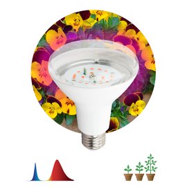 Фитолампа для растений светодиодная ЭРА FITO-16W-RB-E27-K красно-синего спектра 16Вт Е27 470926 ...